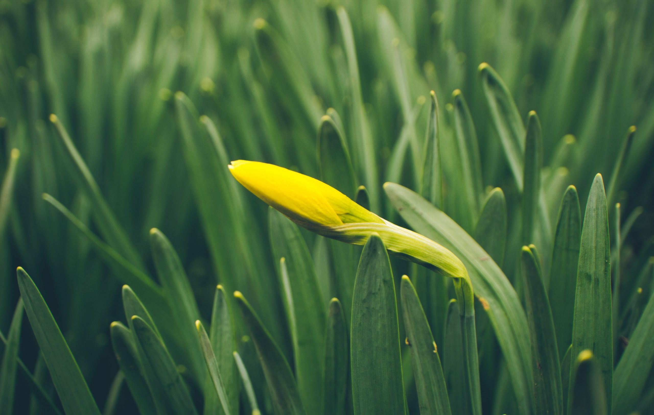 Signs of the Times - River City Church